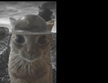 Cat LabyMod Cloak | laby.net